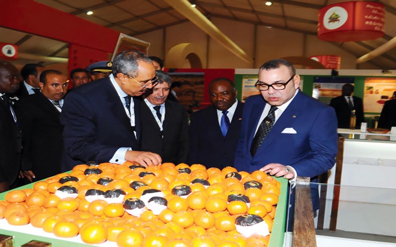 Le nouveau visage de l’agriculture marocaine - VivAfrik - Actualité