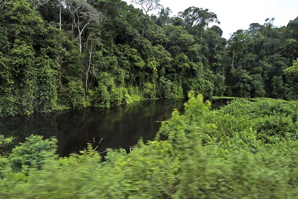 Angola : initiative transfrontalière de préservation et de conservation ...