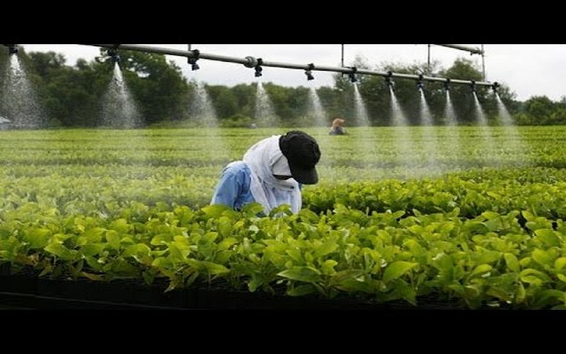 Les enjeux de l’agro-industrie en Afrique - VivAfrik - Actualité