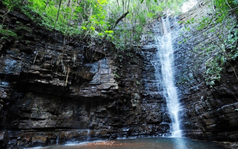 Sénégal : à la découverte de la réserve naturelle communautaire de ...